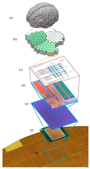 Spectra A Brief Introduction To Neuromorphic Processors